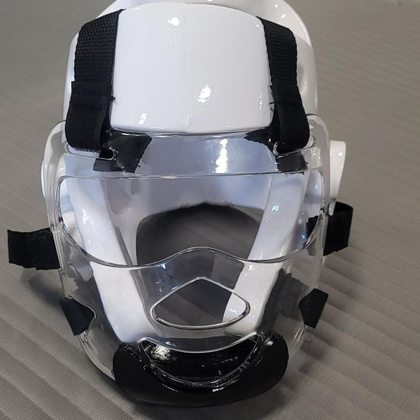 Clear Face Mask - Equipment - Sparring Gear - Welcome to Master Kang's ...